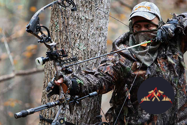 10 Best Compound Bows of 2020 | Your Survival Advisor